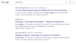 Blog examples for students - Blogzn